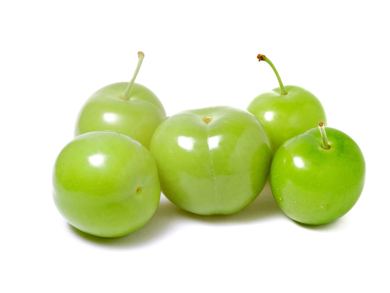 Janerik | 400g - Minbaladeh.world