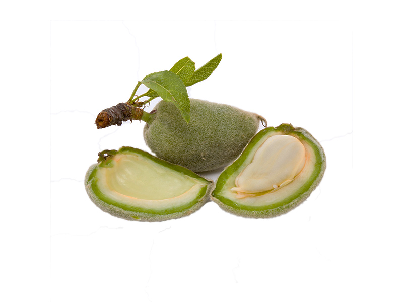 Almond - Ferek | 500g - Minbaladeh.world