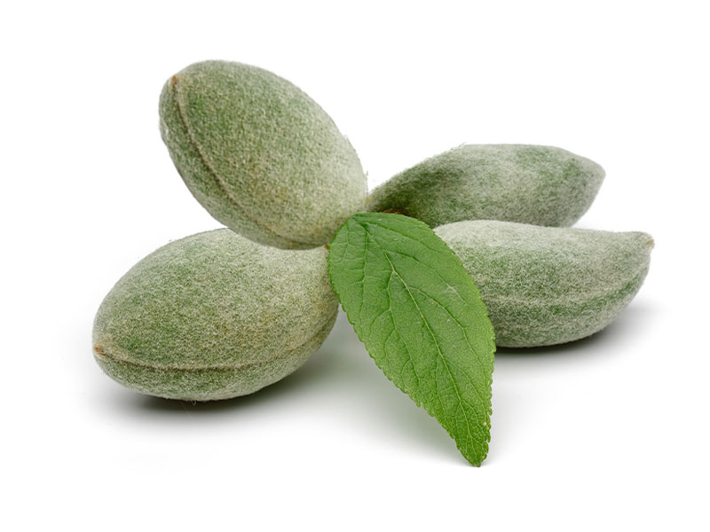 Janerik | 250g - Minbaladeh.world